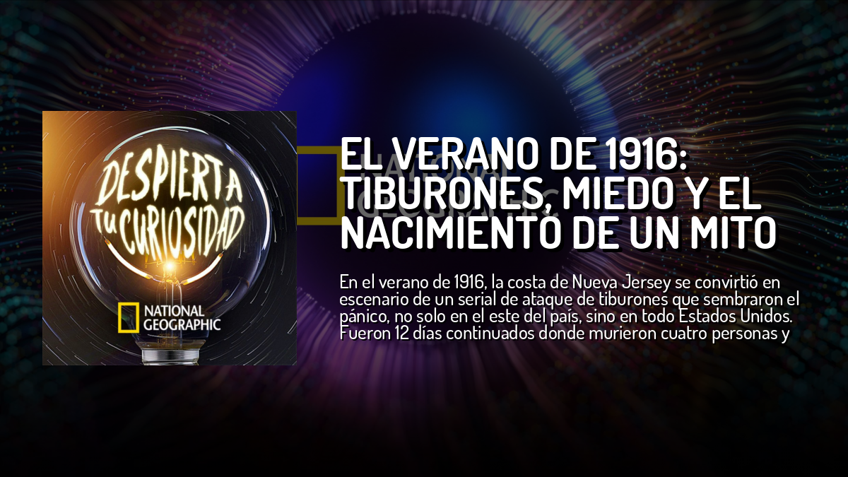 El verano de 1916: tiburones, miedo y el nacimiento de un mito ...