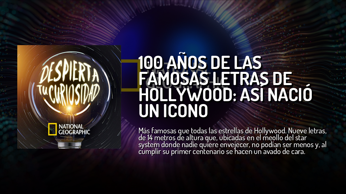 100 años de las famosas letras de HOLLYWOOD: así nació un icono ...
