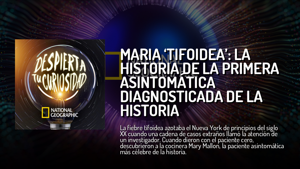 Maria ‘Tifoidea’: la historia de la primera asintomática diagnosticada ...