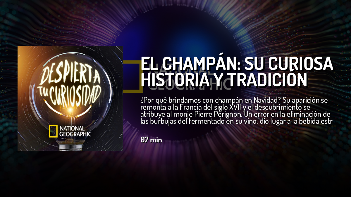 El champán: su curiosa historia y tradición — DESPIERTA TU CURIOSIDAD ...