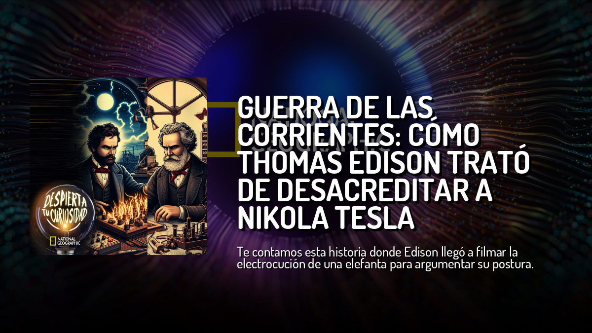 Guerra de las corrientes: cómo Thomas Edison trató de desacreditar a ...
