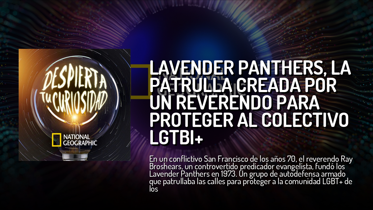 Lavender Panthers, la patrulla creada por un reverendo para proteger al ...