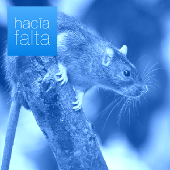 Sopa de Rata — Hacía Falta — Cuonda